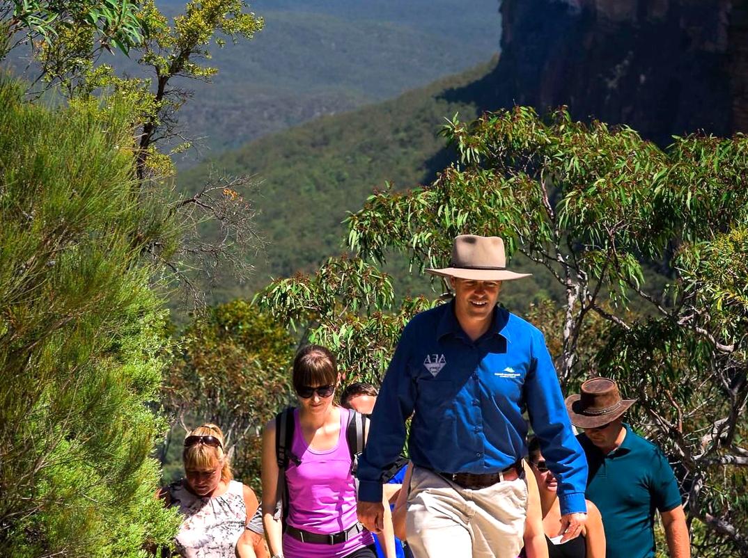 Capture Breathtaking Shots at Evans Lookout: A Photographer's Guide in ...